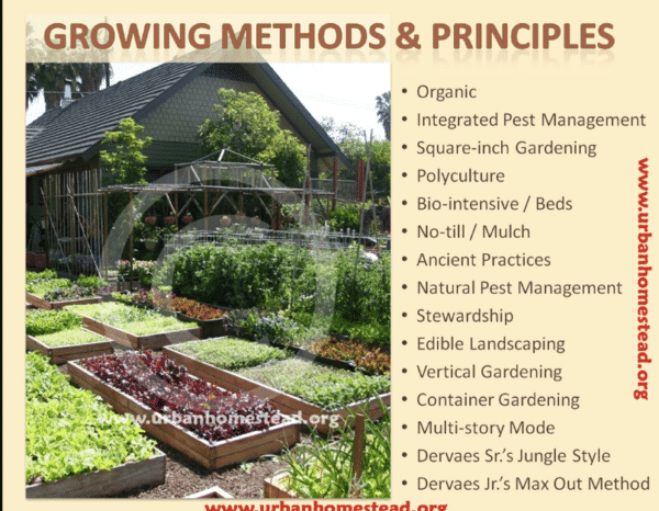 The Most Radical Act You Can Do: Grow Your Own Food! - Understanding Ag