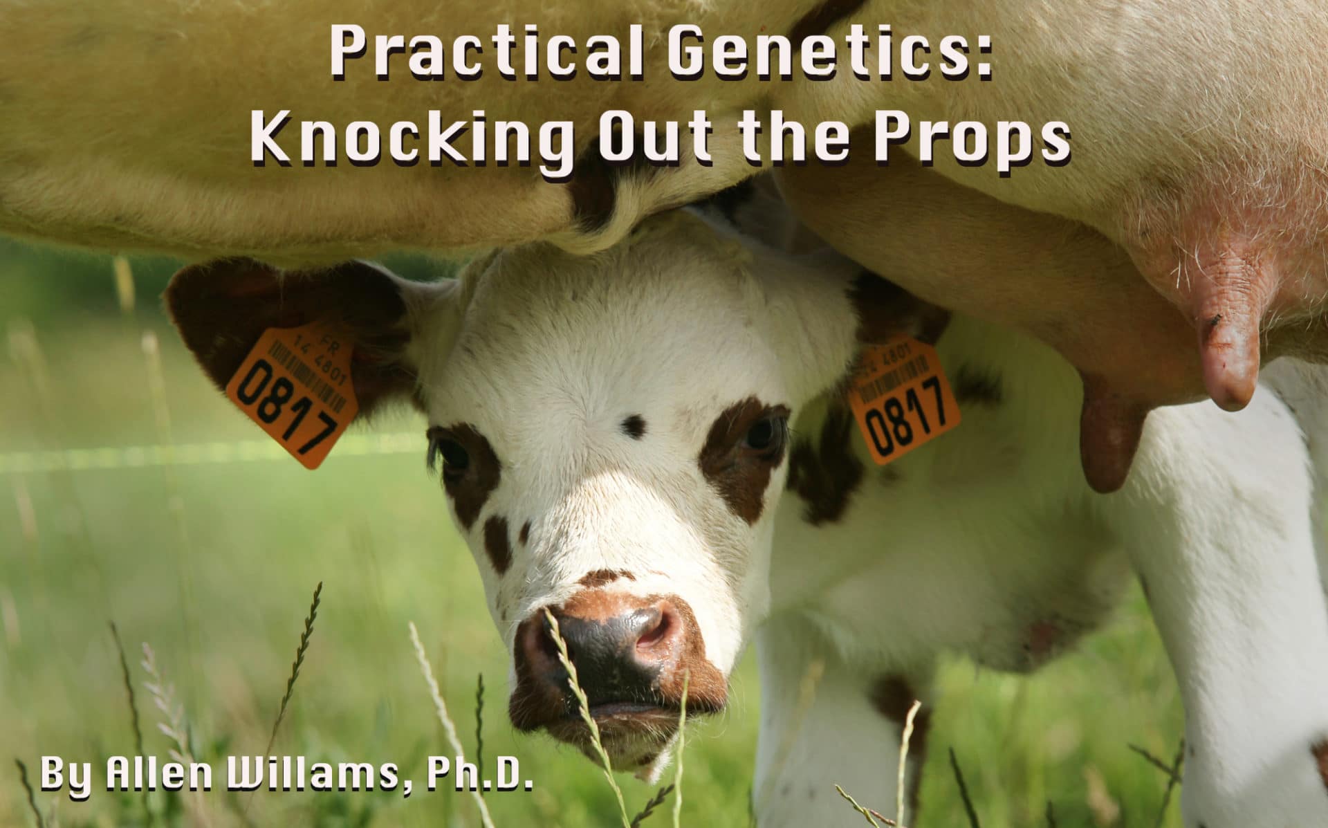 Practical Genetics: Knocking out the Props - Understanding Ag