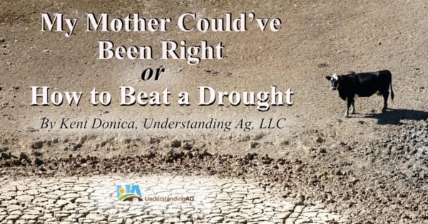 My Mother Could’ve Been Right, or How to Beat a Drought - Understanding Ag