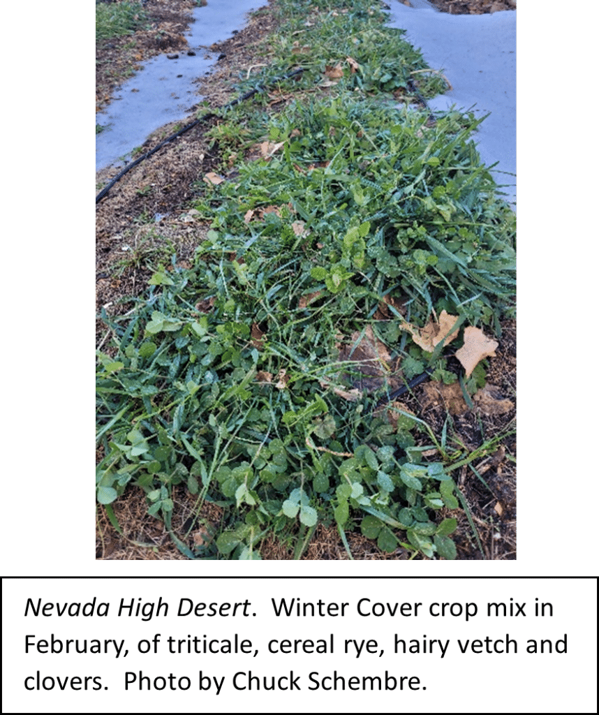 Increasing Diversity in Market Gardens with Winter Cover Crops ...
