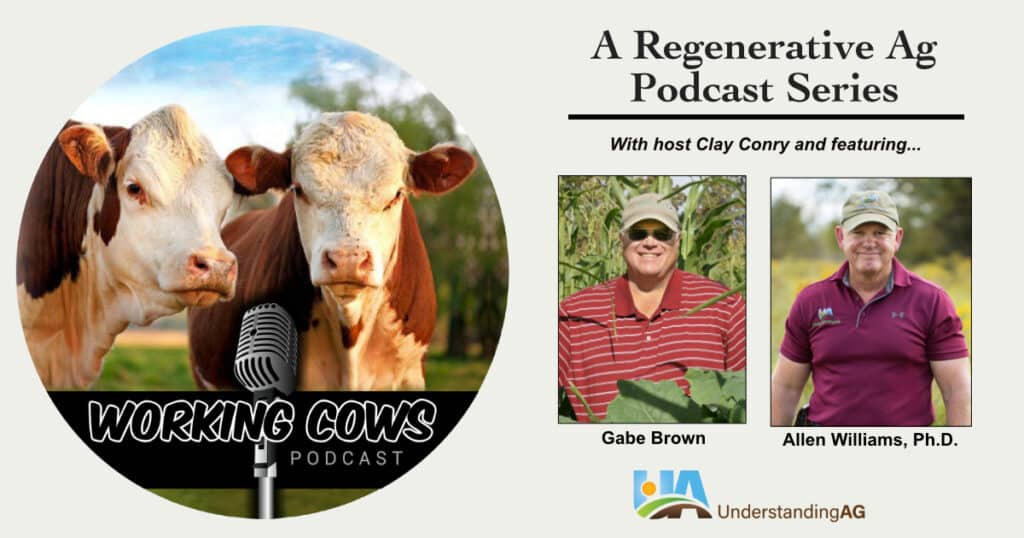 Working Cows Podcast Series - Understanding Ag