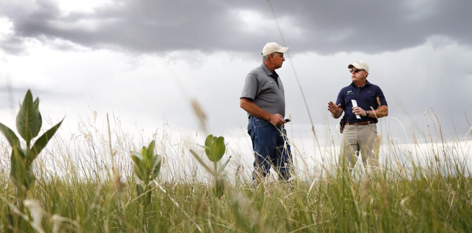 Understanding Ag - Restoring Soil, Profits, Farms and Futures