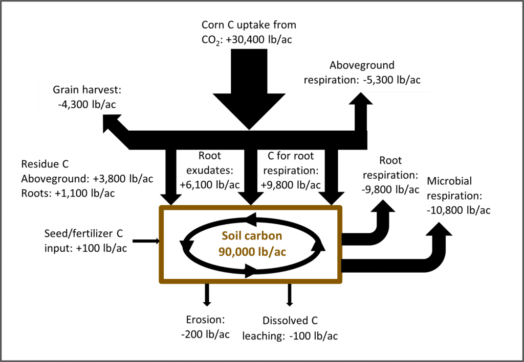 The Carbon Chronicles – Part 3 - Understanding Ag