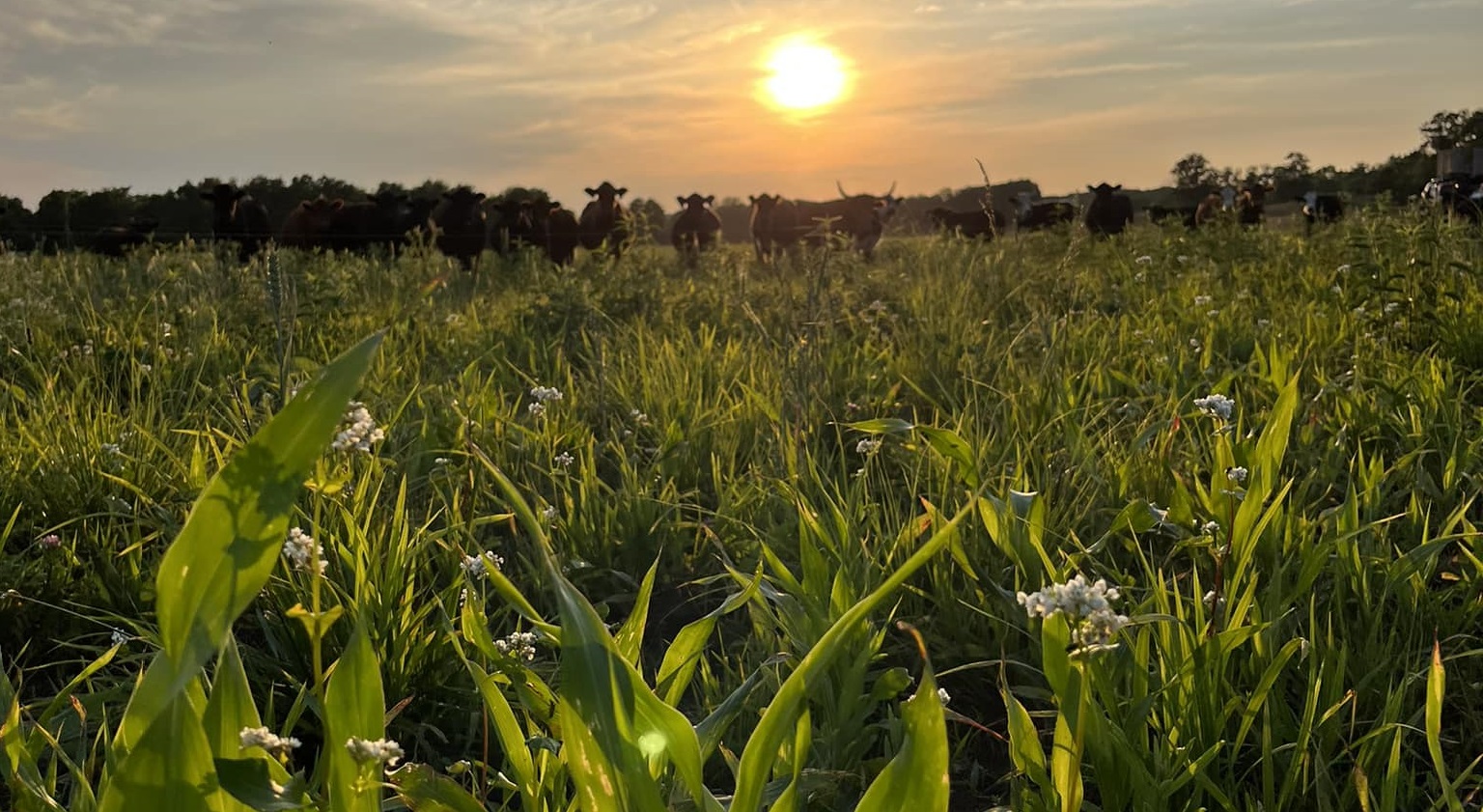 Upcoming Workshops - Understanding Ag
