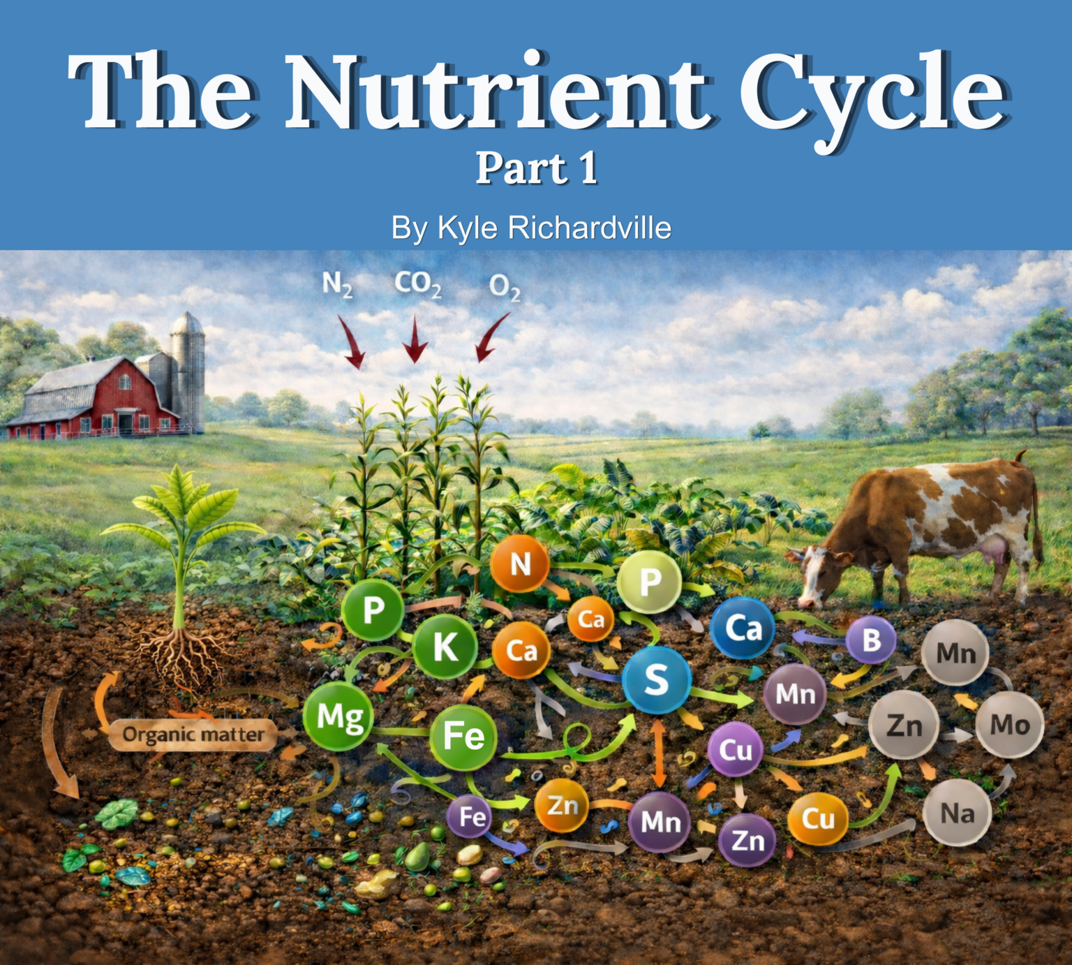 4 Ecosystem Processes: Nutrient Cycle (Part 1) - Understanding Ag